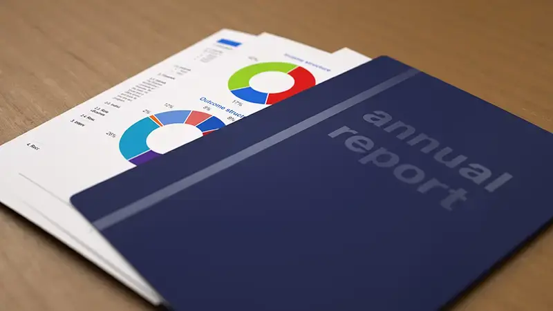 International Entity Annual Filing and Reporting